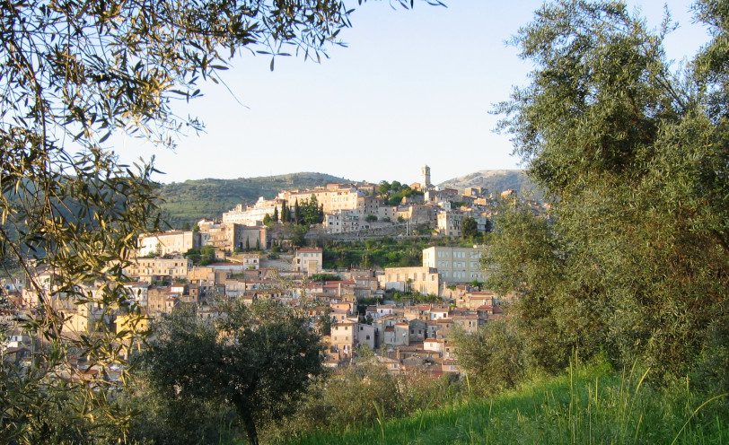 Marco Carpineti | Vinoblesse